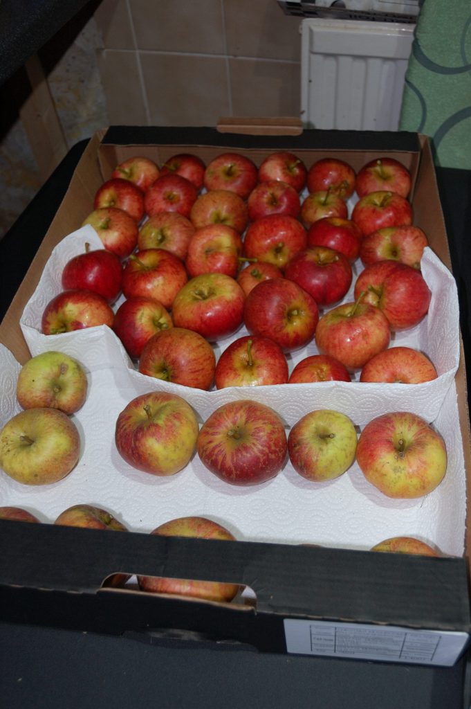 Home Brewing – Scrumpy Apple Cider Part 1 - Fat Cats Patch